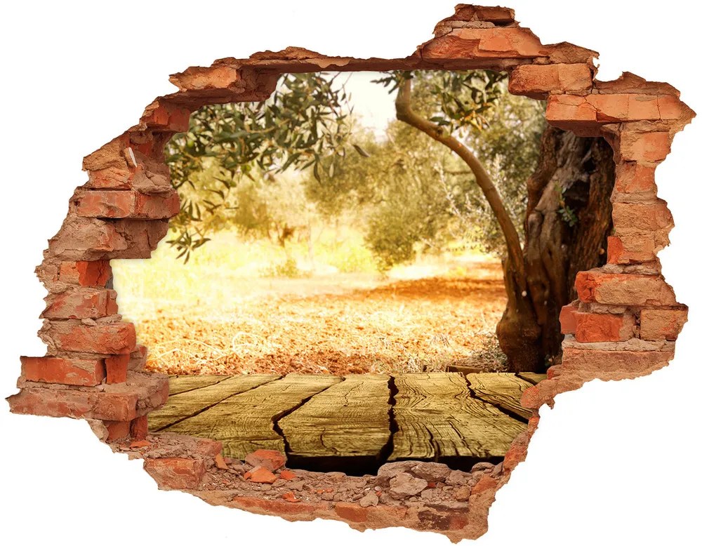 Wallmuralia Nálepka fototapeta 3D výhled Olivovník 90x70 cm