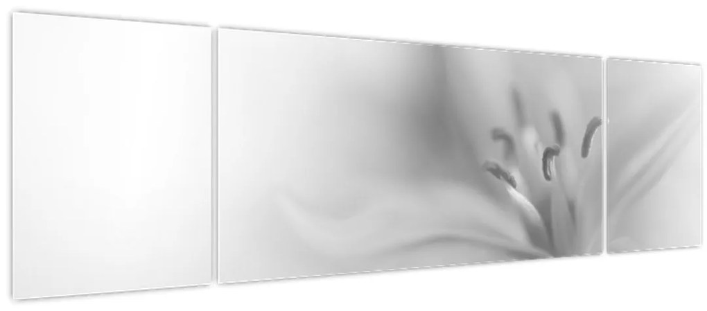 Obraz - Jemná lilie (170x50 cm)