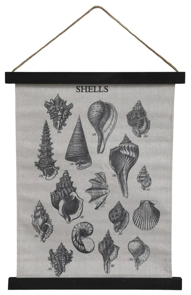 Chic Antique Plakát v klipu Shells 50x40 cm, béžová barva, černá barva, dřevo, textil