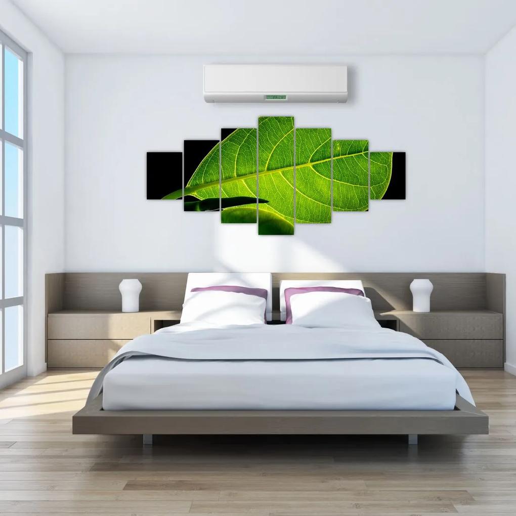 Obraz - zelený list (210x100 cm)