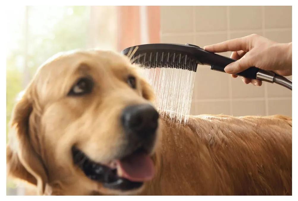 Hansgrohe DogShower - Ruční sprcha pro psa 150 - Bílá matná 26640700