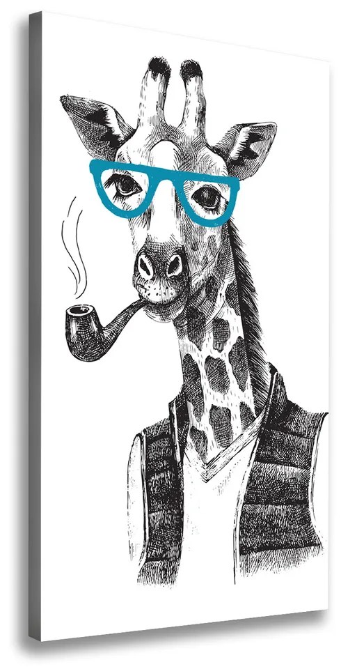 Wallmuralia Foto obraz na plátně Žirafa v brýlích 50x100 cm