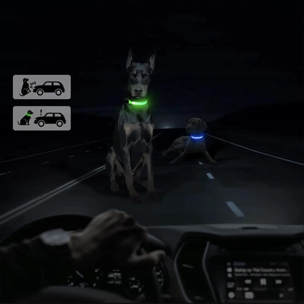 Zelený LED obojek pro psa/kočku DUKE - různé velikosti Velikost: L