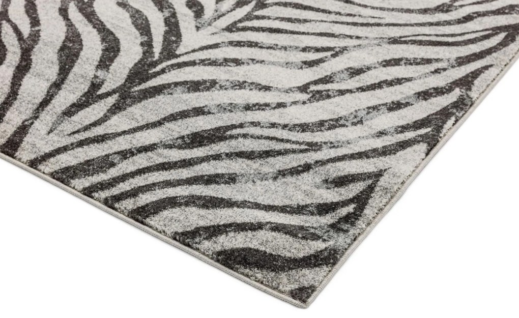 Šedý koberec Dinamo Zebra Grey Rozměry: 120x170 cm