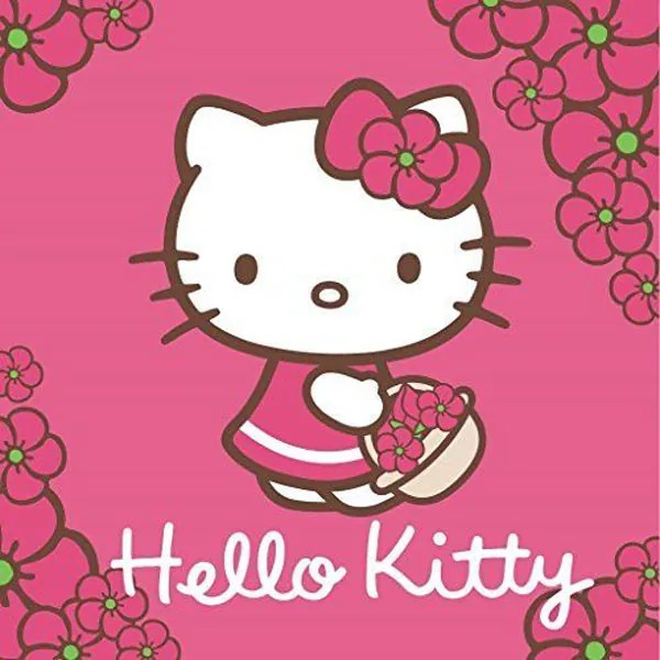 DETEXPOL Magický ručníček Hello Kitty Bavlna/Froté, 30/30 cm