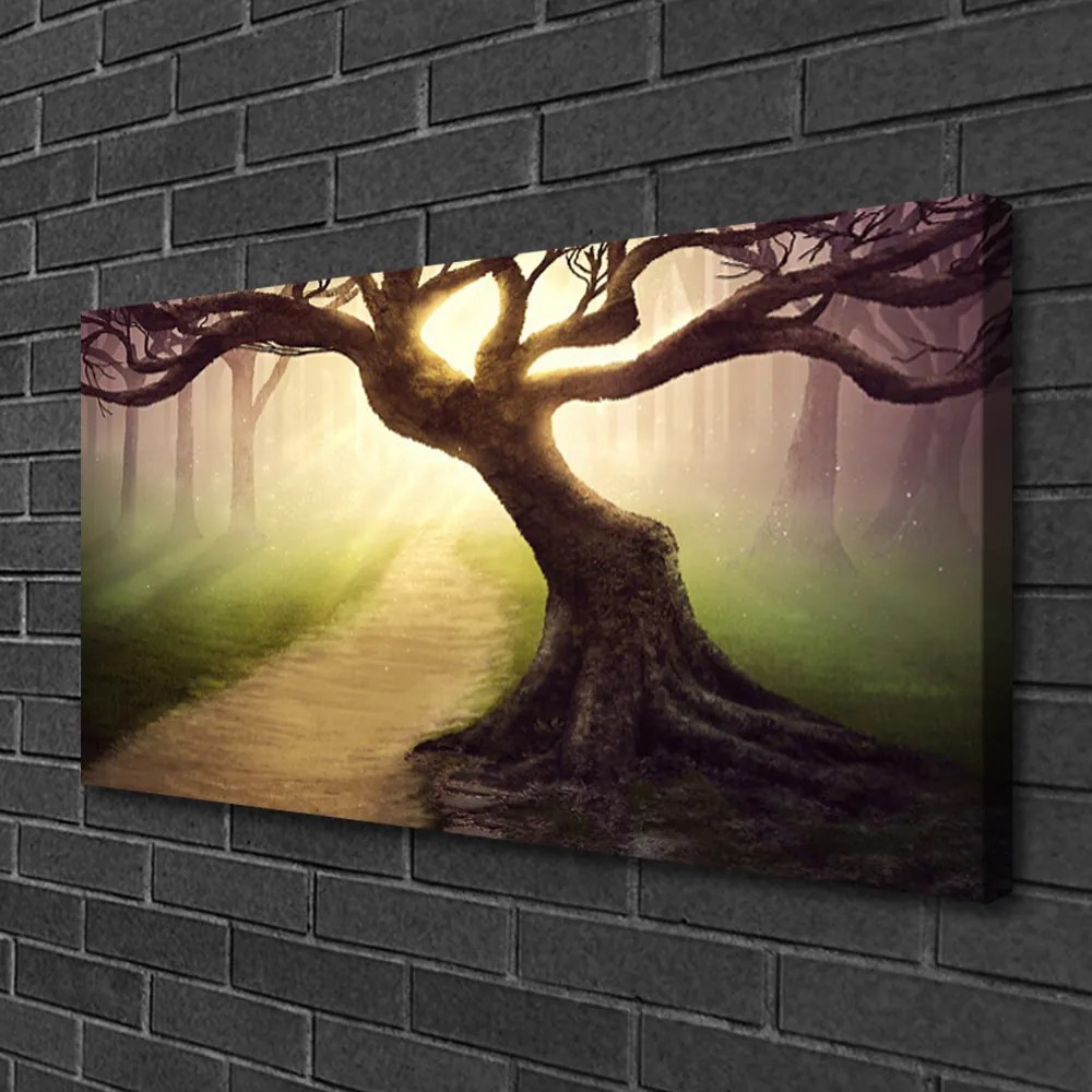 Obraz na plátně Strom Paprsky Slunce 100x50 cm
