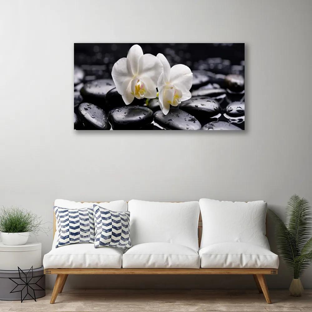Obraz na plátně Kameny Zen Bílá Orchidej 125x50 cm