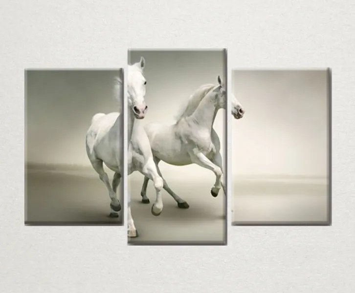 3-dílný obraz - Bílý kůň