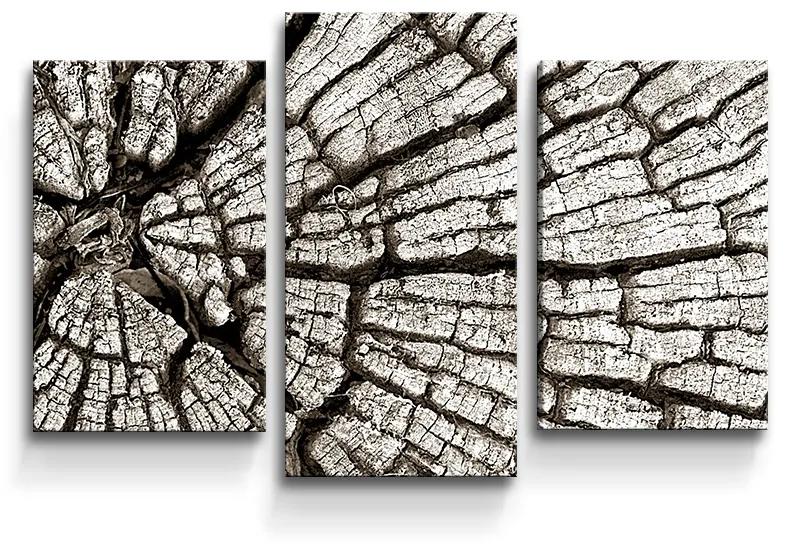 Sablio Obraz - 3-dílný Dřevo - 75x50 cm
