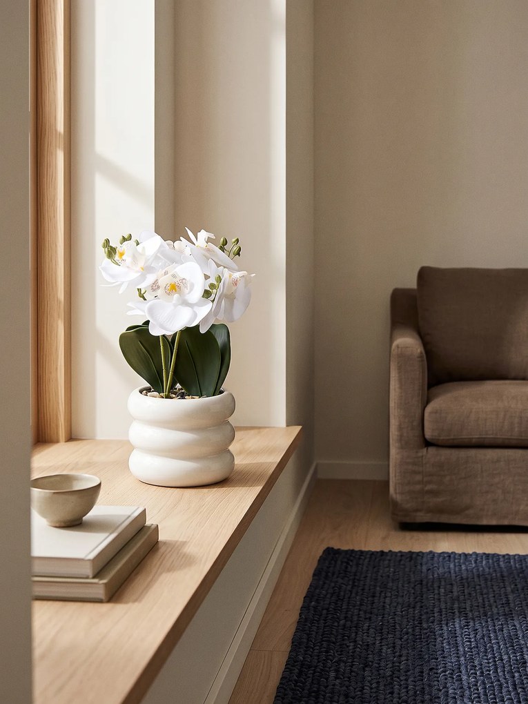 Sinsay - Dekorativní rostlina v květináči – orchidej - bílá