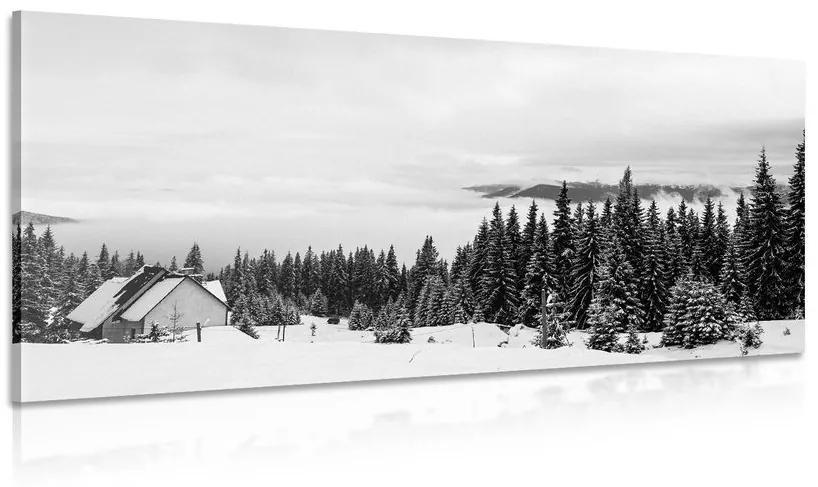 Obraz chaloupka v zasněžené přírodě v černobílém provedení Varianta: 100x50