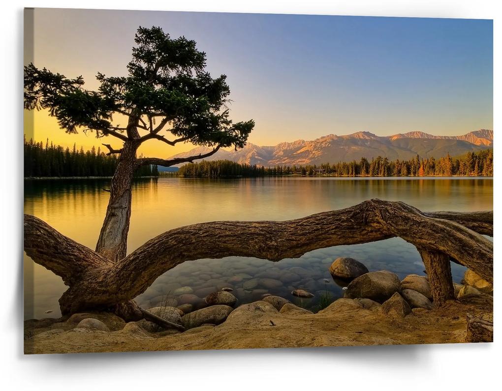 Obraz - Strom u jezera 150x110 cm