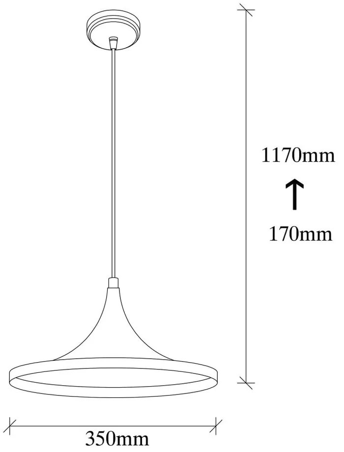 Černé kovové závěsné svítidlo Opviq lights Leon
