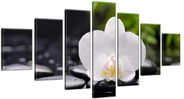 Obraz na plátně Bílá orchidej a kameny 210x100cm 1707A_7A