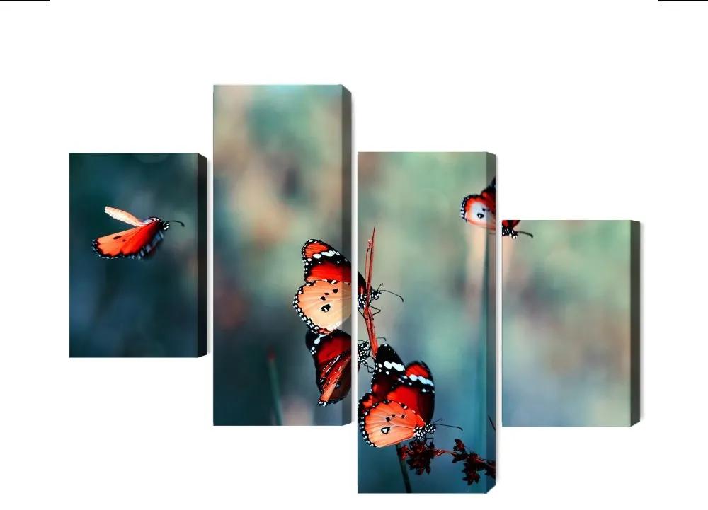 Vícedílný obraz Barevní Motýli V Makro Měřítku Nedostatek Nedostatek Přírodní plátno 240x150