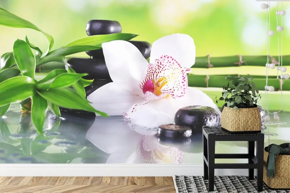 Fototapeta Krásné Orchidejové Spa Strukturální vinyl 520x318