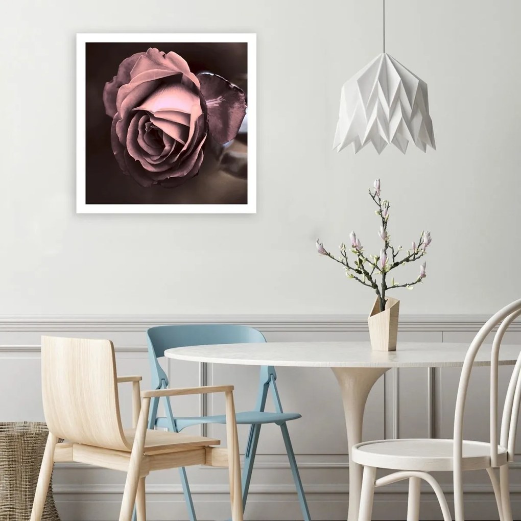 Obraz na plátně, Krásný růžový květ růže - 60x60 cm