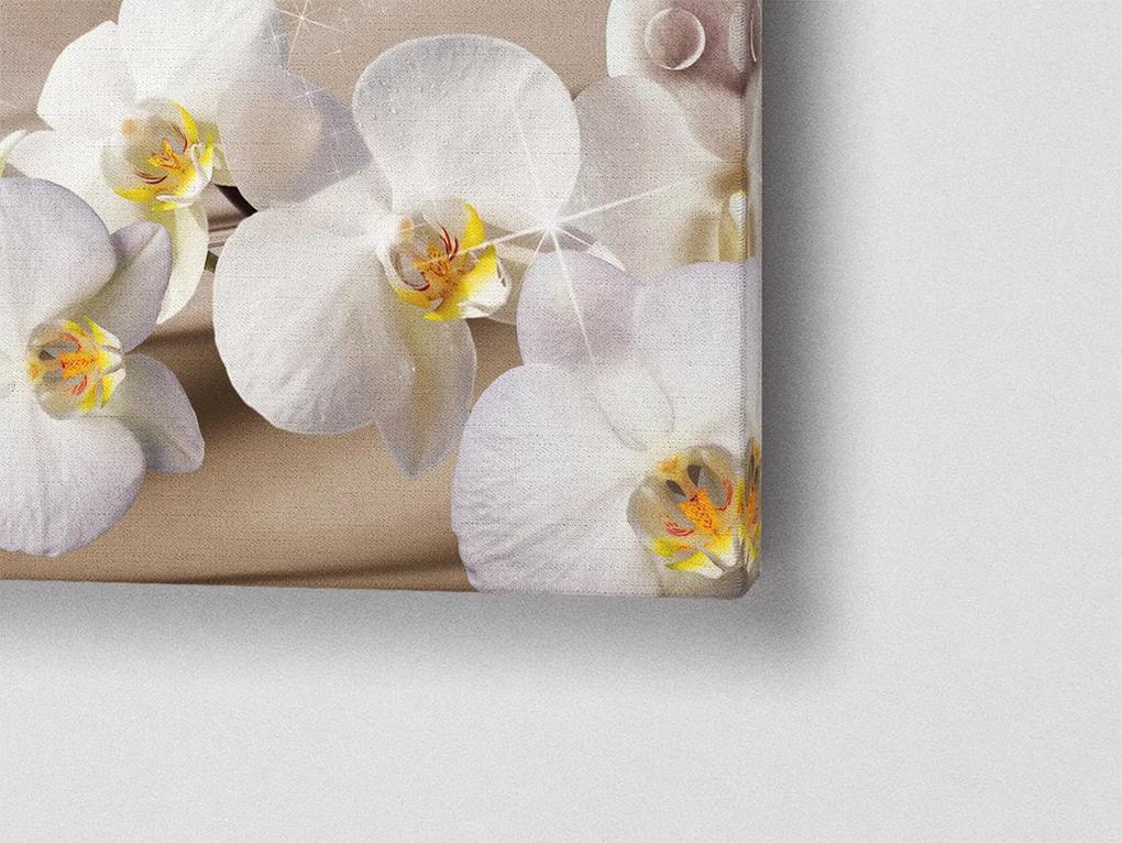 Liox Obraz abstraktní orchidej Rozměr: 90 x 60 cm