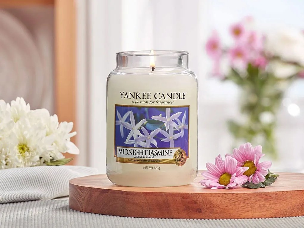 Yankee Candle – votivní svíčka Midnight Jasmine (Půlnoční jasmín), 49 g