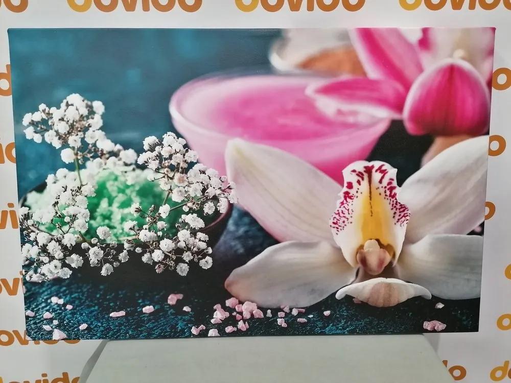 Obraz nádherná detailní orchidej - 90x60 cm