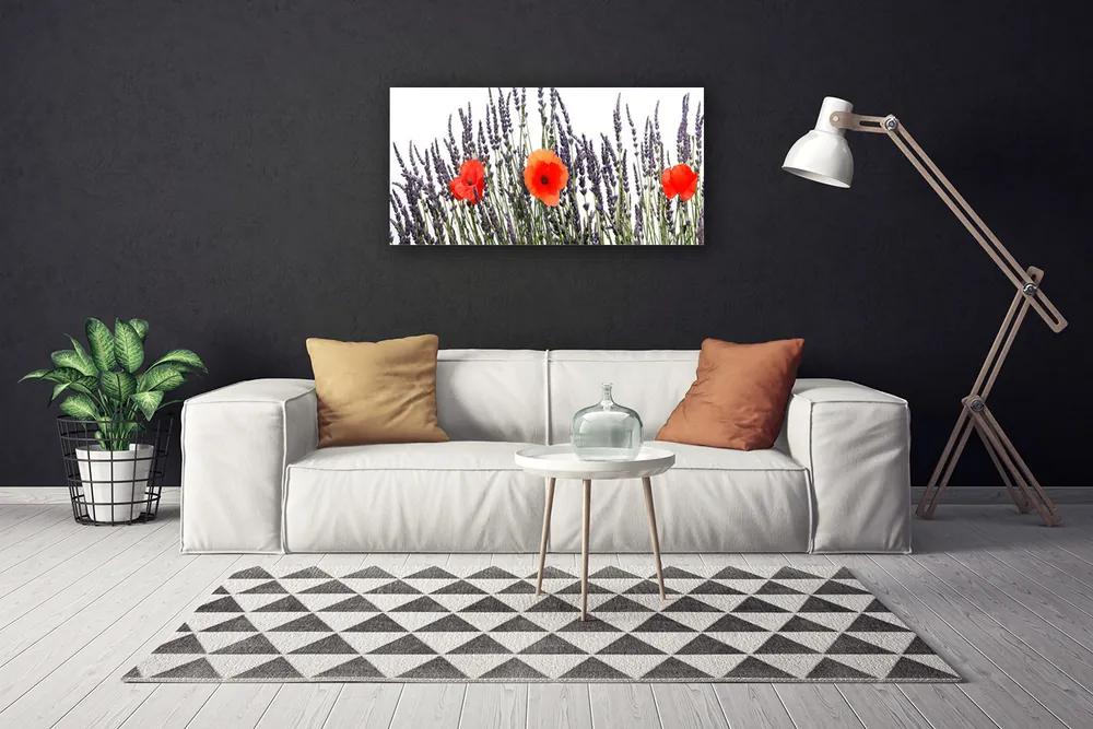 Obraz na plátně Květiny Máky Pole Trávy 120x60 cm