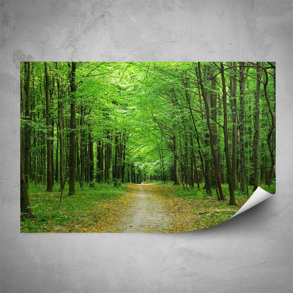 Plakát - Zelený les (60x40 cm) - PopyDesign