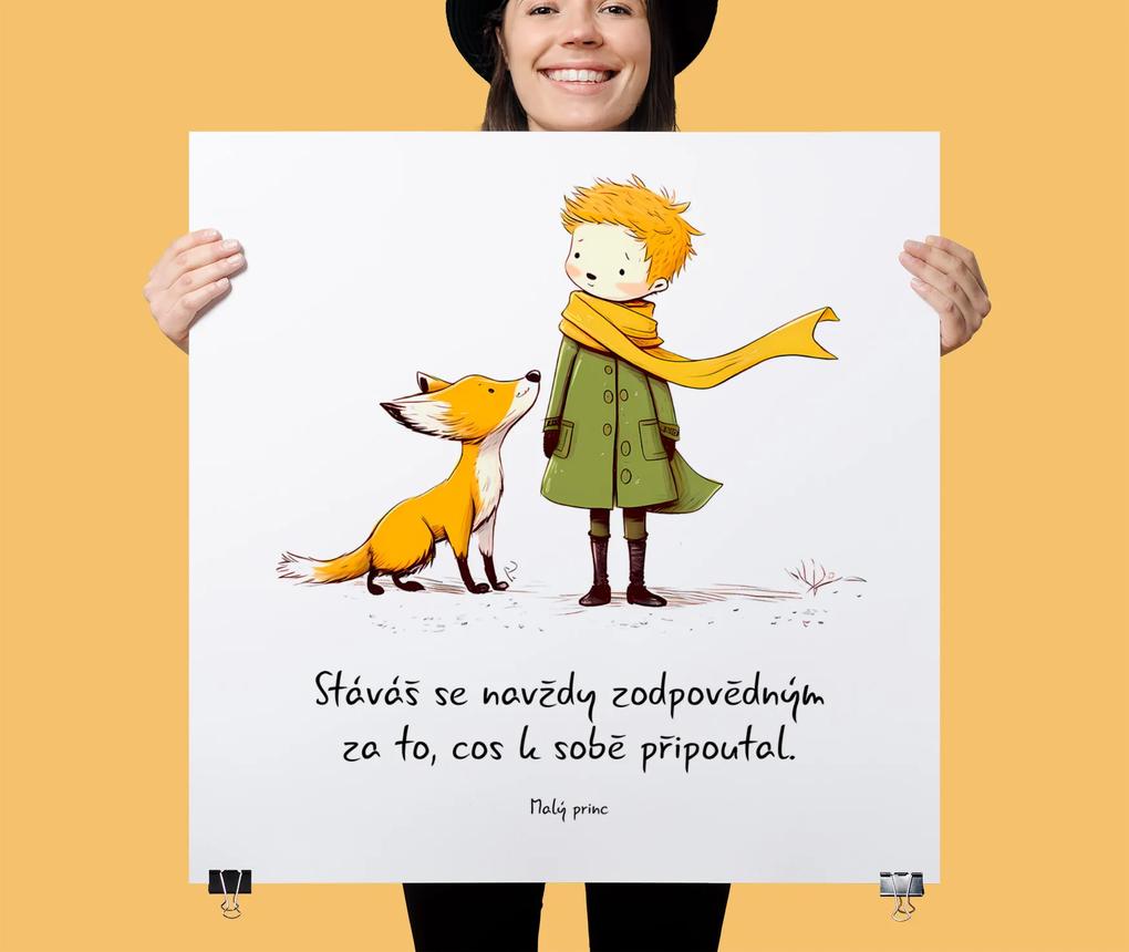 Plakát - Stáváš se navždy zodpovědným, Malý princ (lines) FeelHappy.cz Velikost plakátu: 100 x 100 cm