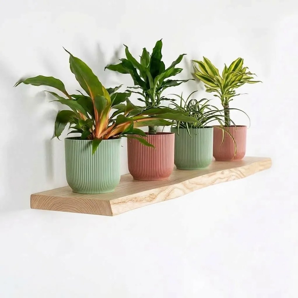 KULHÁNEK Jasanová police s přírodní hranou Délka: 160 cm, Šířka: 15 cm