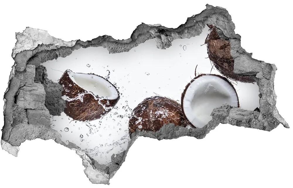 Wallmuralia Nálepka 3D díra Kokos s vodou 95x73 cm