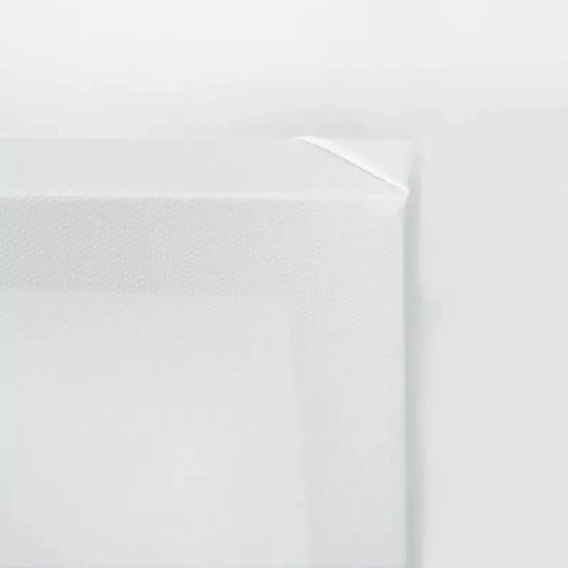 Gario Obraz na plátně Jeřáby v rákosí Rozměry: 60 x 40 cm
