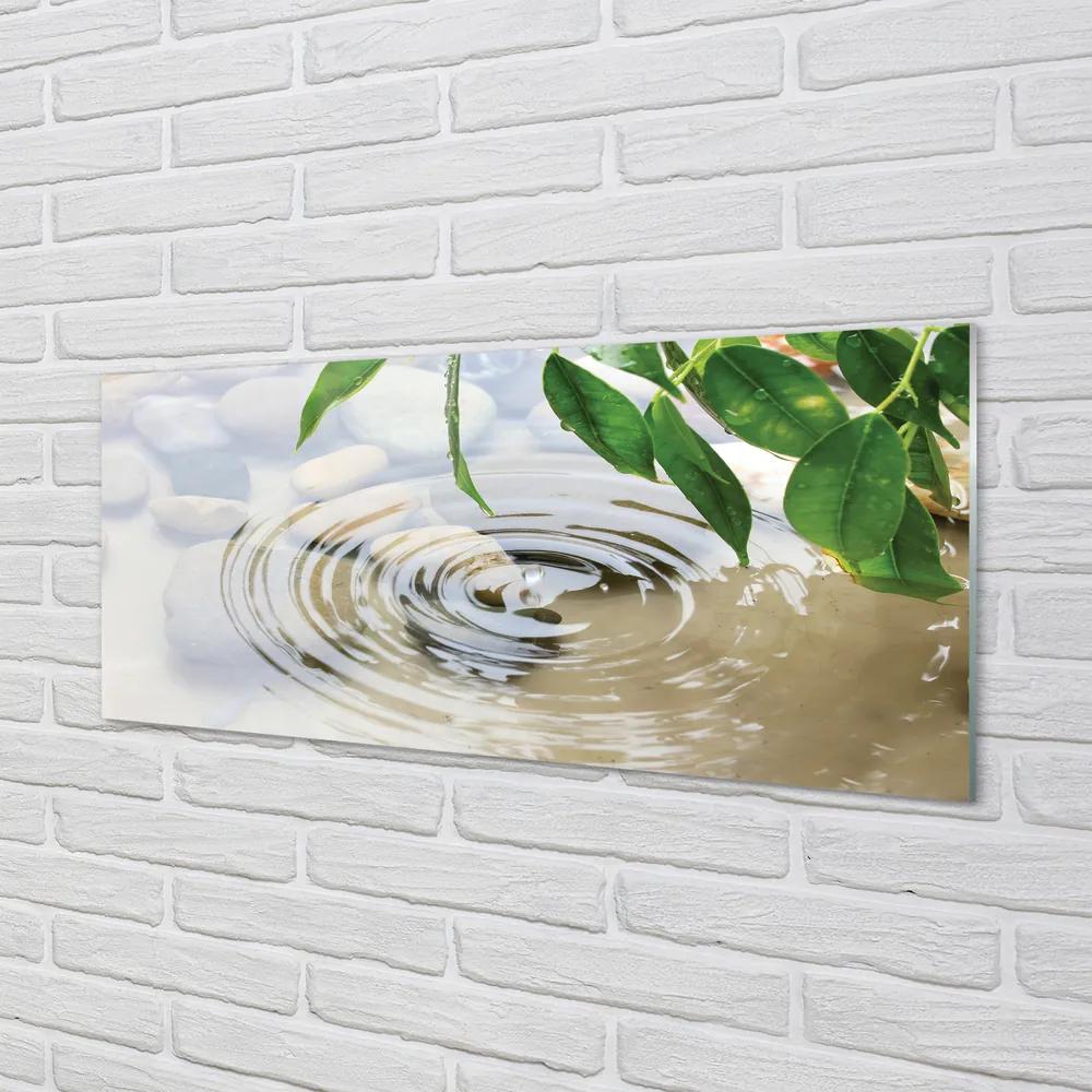 akrylový obraz pokles stříkající vodě 120x60 cm