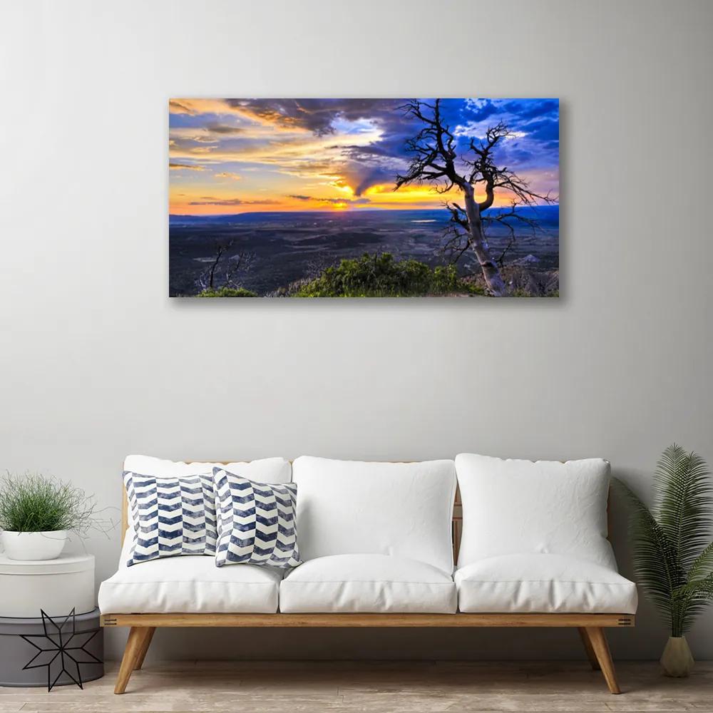 Obraz na plátně Strom Zápas Slunce 140x70 cm