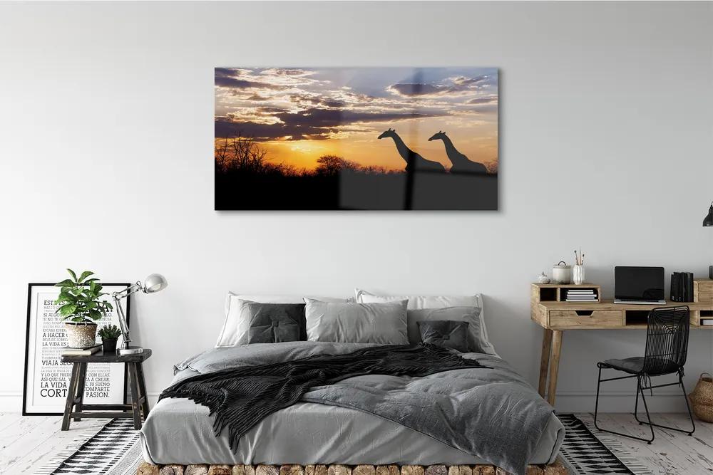 akrylový obraz Žirafy strom mraky 140x70 cm