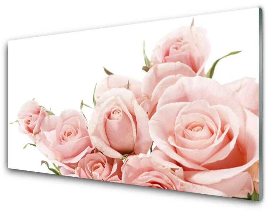 Obraz na skle Růže Květiny Rostlina 140x70cm