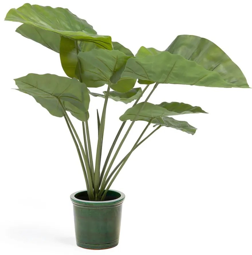 Umělá rostlina (výška 57 cm) Odora – Kave Home