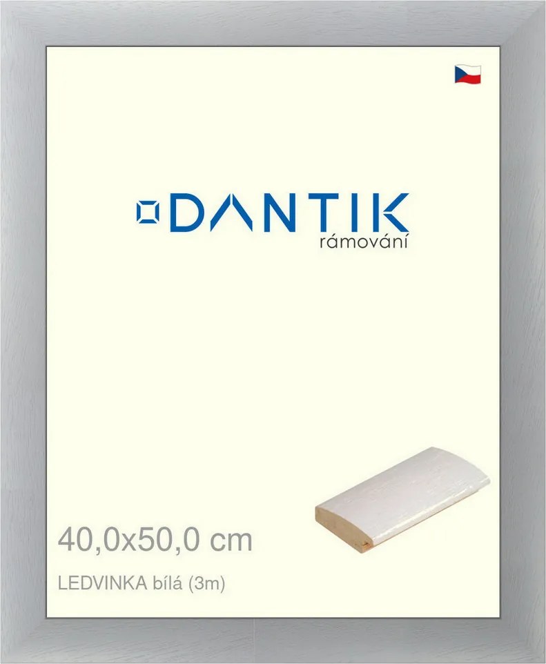 DANTIK rámeček 40x50 | LEDVINKA bílá (Sklo Čiré)