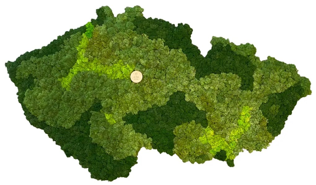 WOODILO Mapa z prémiového sobího mechu | 95 cm Barva podkladové desky: Bílá, Vyznačení místa ve dřevě (napevno): Nepožaduji