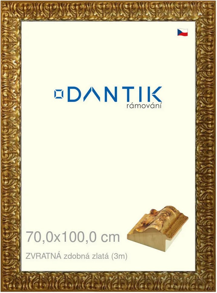 DANTIK rámeček 70x100 | ZVRATNÁ zdobná zlatá (Plexi Čiré)