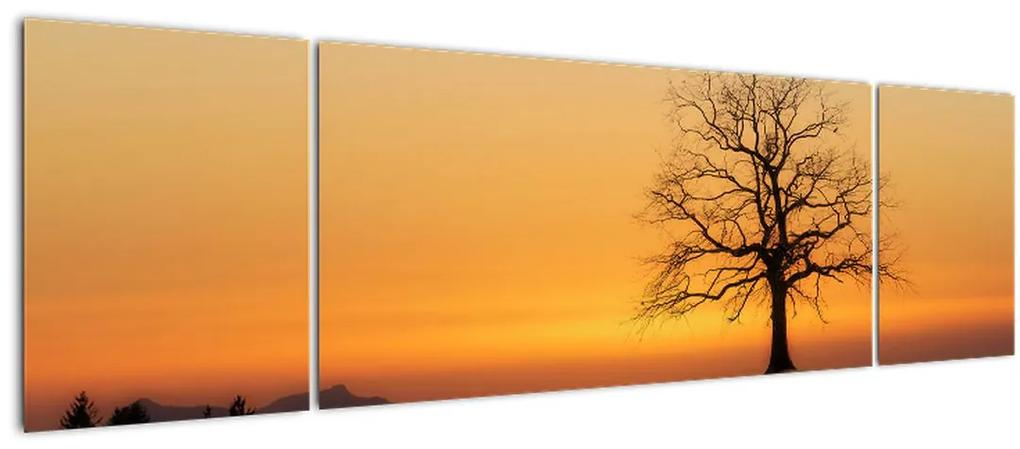 Obraz západu slunce na louce (170x50 cm)