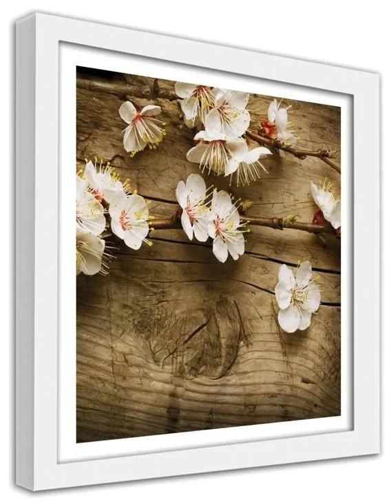 CARO Obraz v rámu - Peach Flowers 20x20 cm Bílá