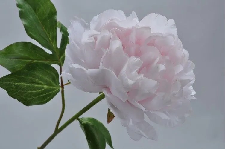 Umělá květina Silk-ka Pivoňka růžová rozkvetlá 57cm