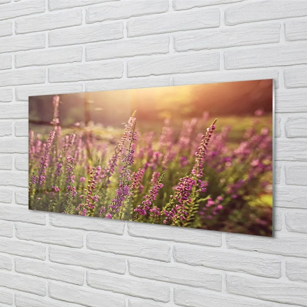 Obraz na skle Heather pole 120x60 cm