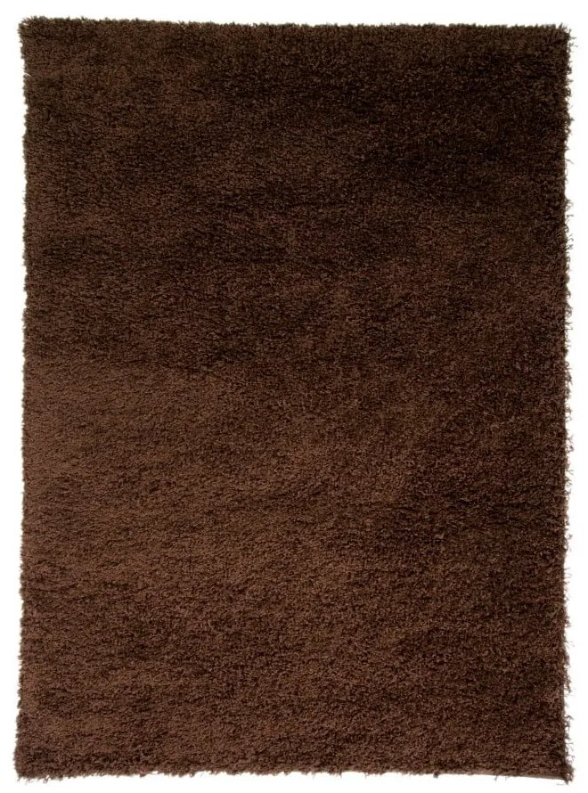 Hnědý koberec Flair Rugs Cariboo Brown, 120 x 170 cm