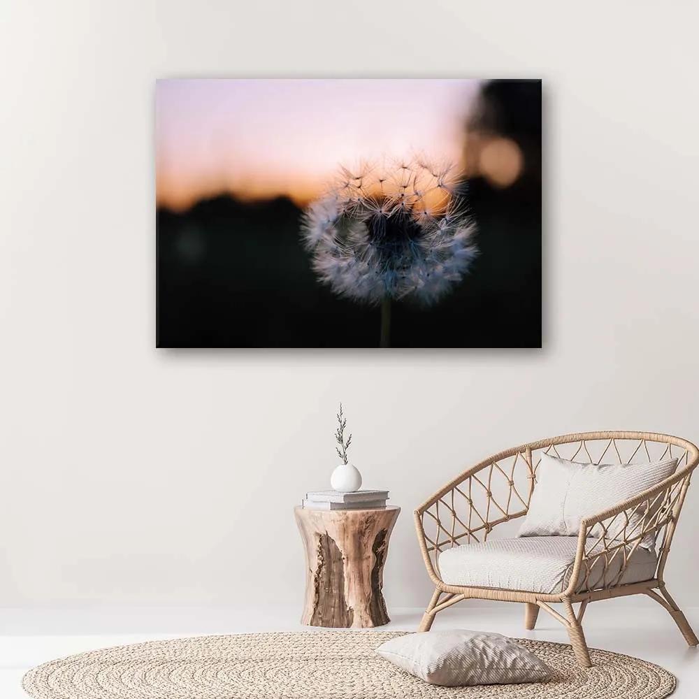 Gario Obraz na plátně Pampeliška a západ slunce Rozměry: 60 x 40 cm