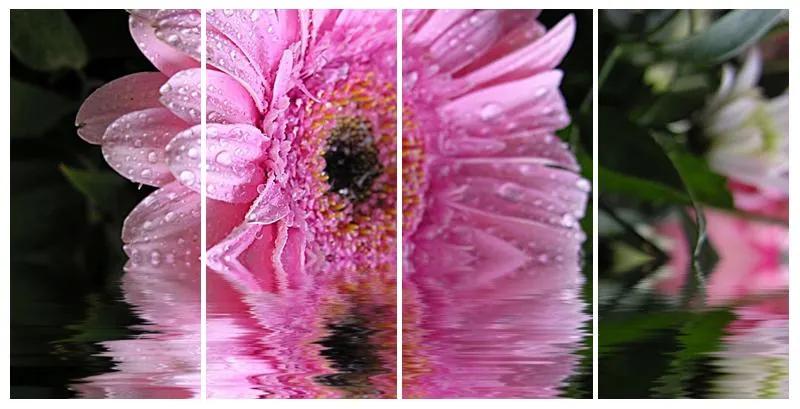 Krásný obraz růžové květiny (160x80 cm), 40 dalších rozměrů
