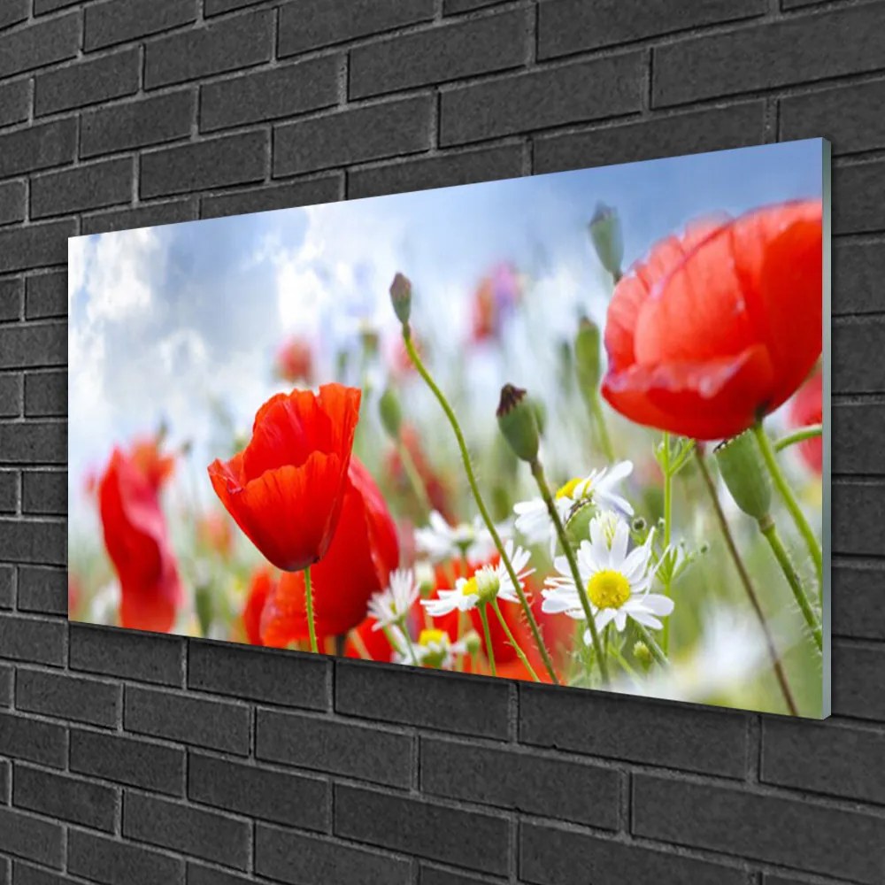 Obraz na skle Máky Sedmikrásky Květiny 120x60 cm