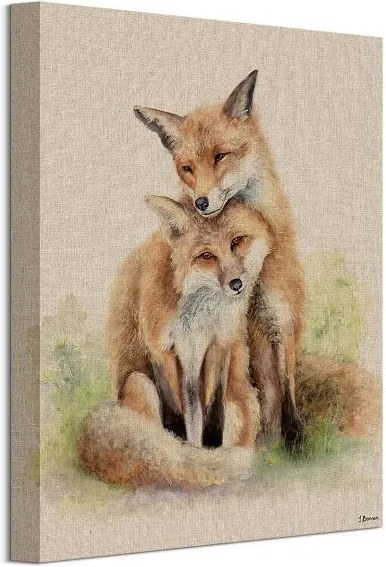 Obraz na plátně Zamilované lišky Bannon Jane 30x40cm WDC12011