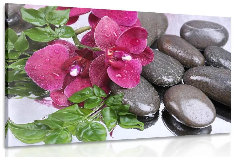 Obraz kvetoucí orchidej a wellness kameny