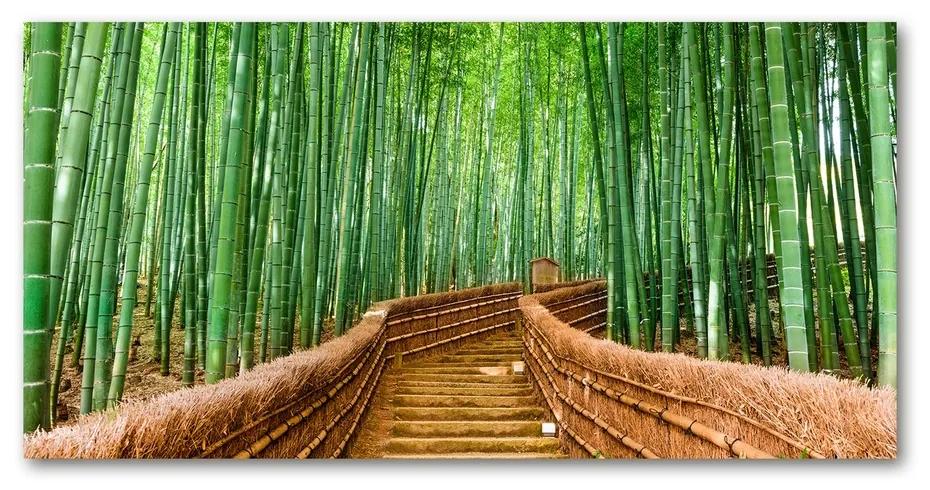 Wallmuralia Moderní skleněný obraz z fotografie Bambusový les 100x50 cm
