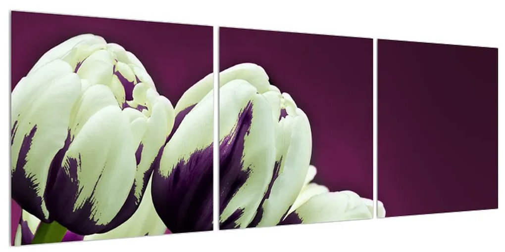 Obraz tulipánů  (120x40 cm)